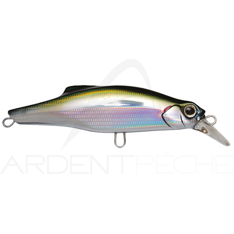 Poisson nageur JACKSON Pin tail 35